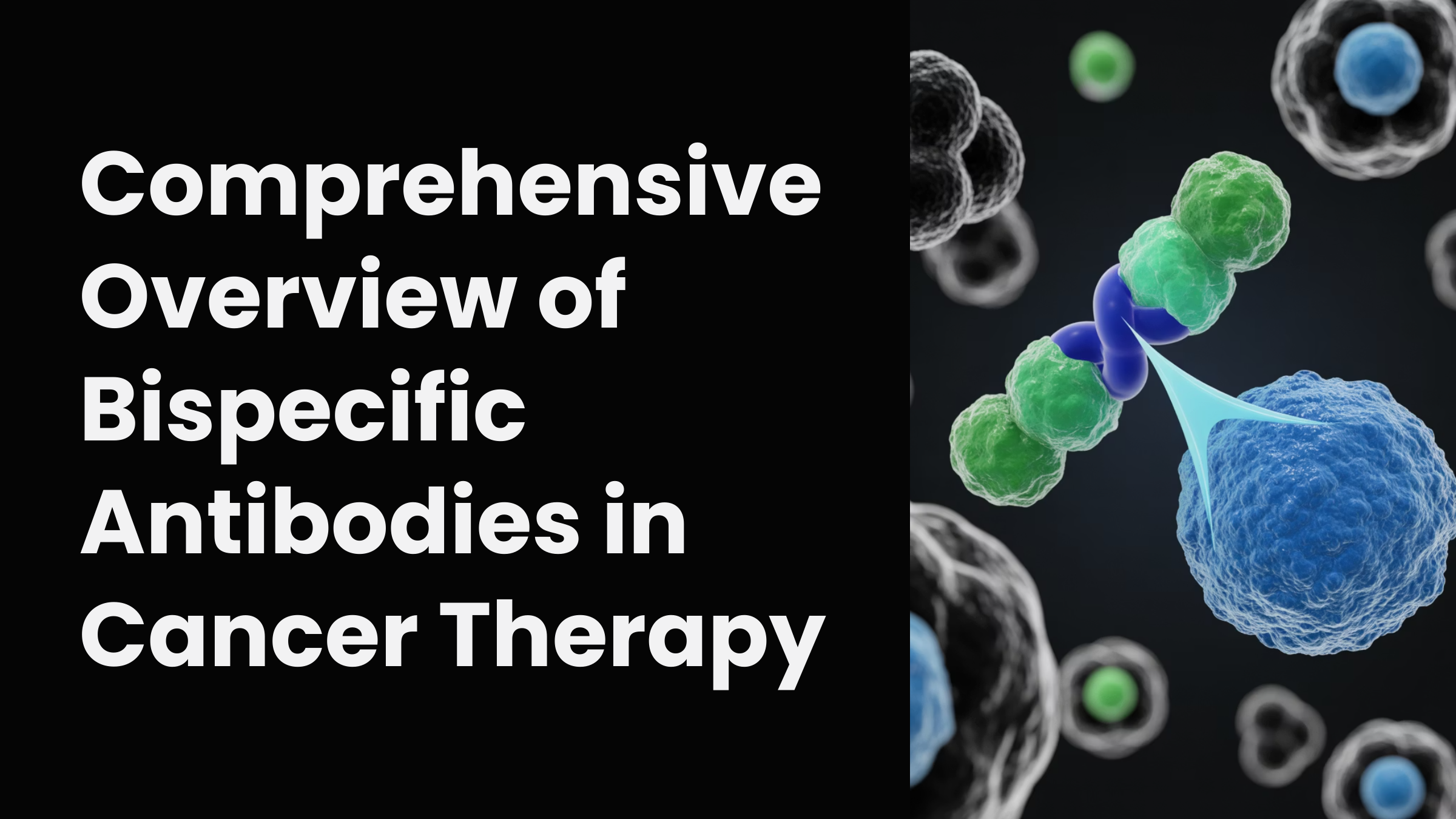 Bispecific Antibodies Cancer Therapy: 2025 Advances - OncologyTube